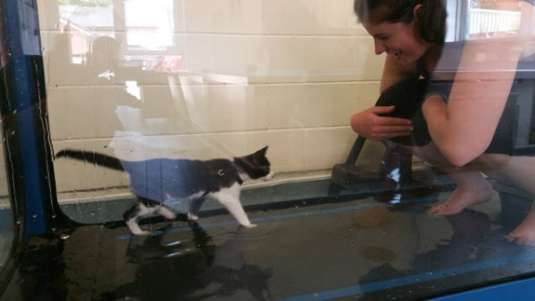 Chase View Vets In Ross On Wye