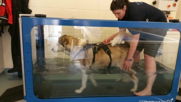 Chase View Vets In Ross On Wye