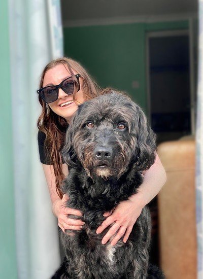 Chase View Vets In Ross On Wye